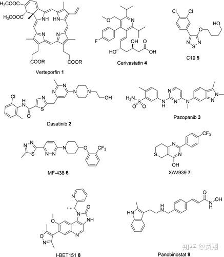 【JMC】TEAD靶点综述 - 知乎