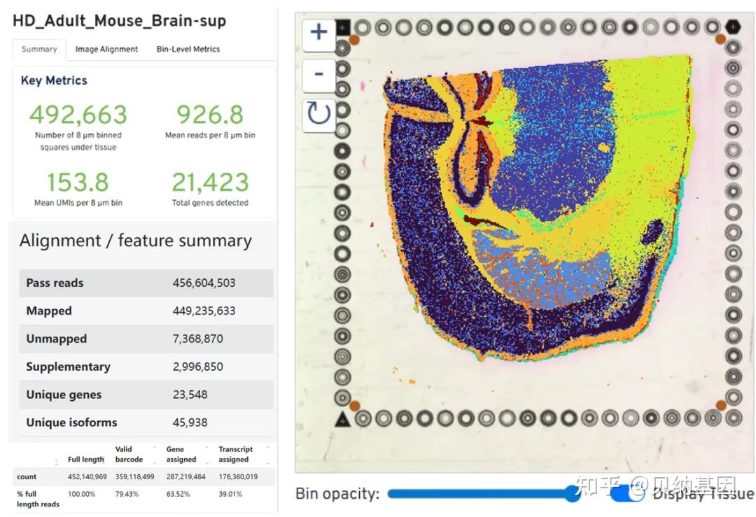 Visium HD 3'×ONT测序：双剑合璧，尽显空间全长转录组“超清解析”硬实力 - 知乎