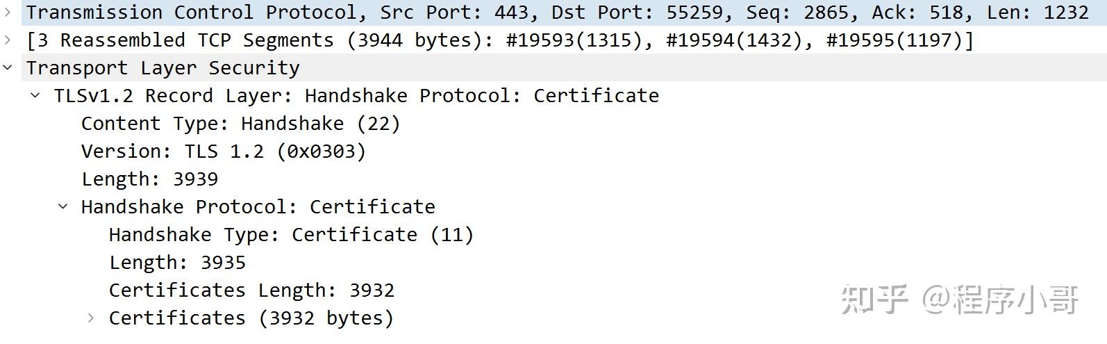 TLS/DTLS技术--最详细 - 知乎