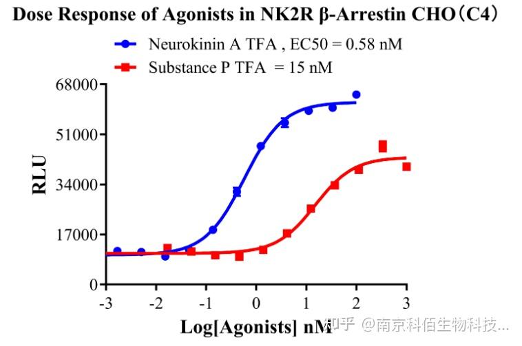 药靶细胞模型---NK2R细胞筛选模型 - 知乎