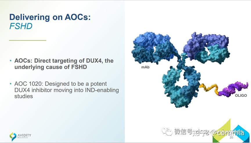 Avidity：抗体核苷酸偶联物（AOC）领域龙头技术梳理 - 知乎