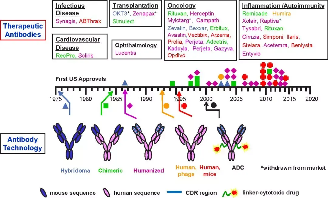 【干货】抗体偶联药物（ADC）浅析 - 知乎
