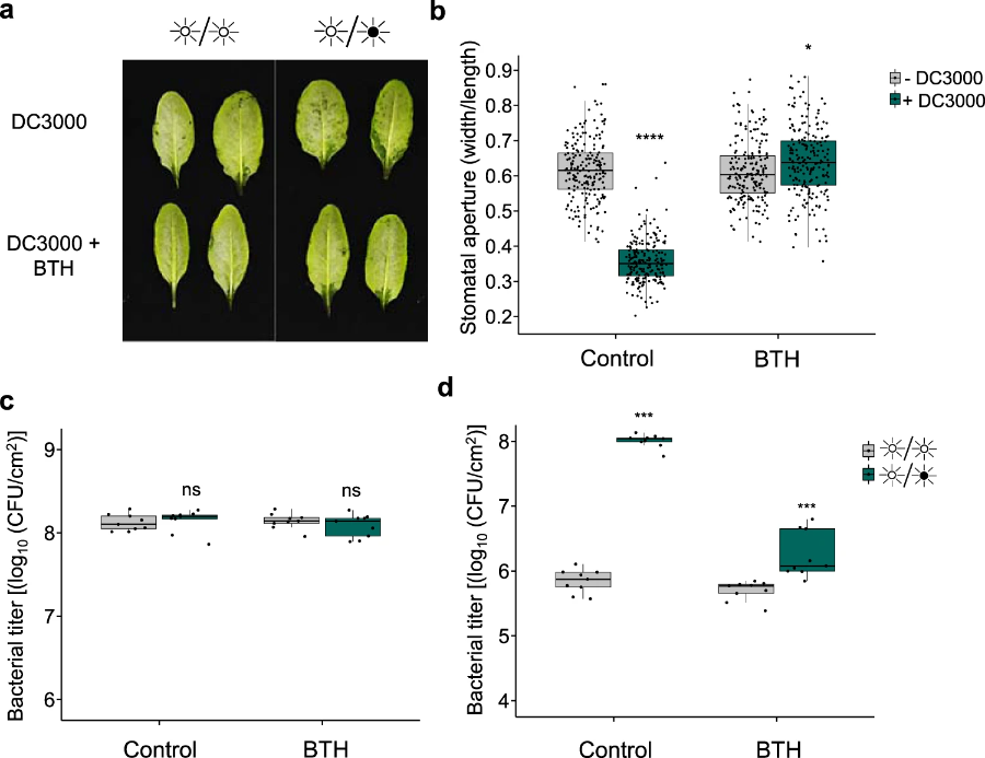 Nature Communications | 研究揭示光照诱导植物抗病的机制！ - 知乎