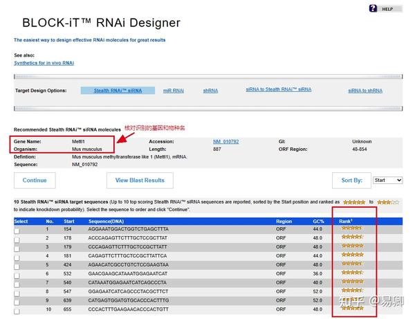 小白快速上手！siRNA的设计 - 知乎