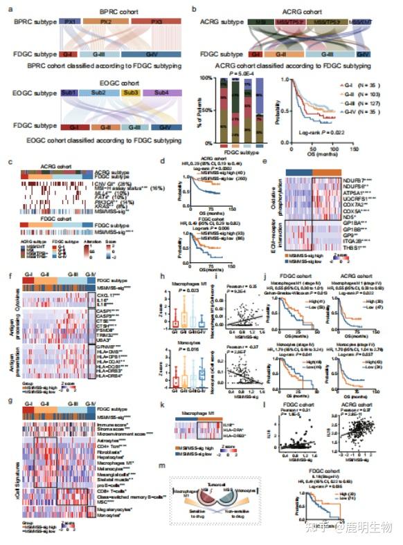「Nature子刊」基于蛋白质组学揭示了胃癌潜在的治疗策略 - 知乎