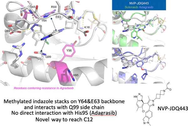 诺华KRAS分子JDQ443 - 知乎