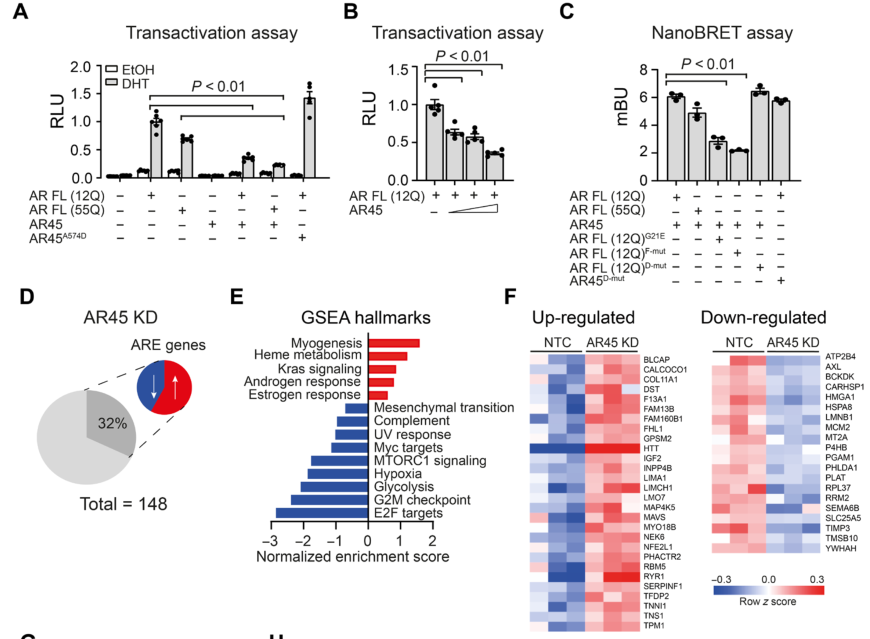 Science advances最新进展｜AR亚型2基因治疗通过抑制AR的转录活性改善脊髓延髓肌萎缩症 - 知乎