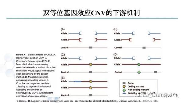 CNV数据分析 - 知乎