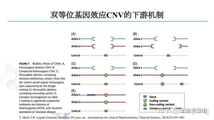 CNV数据分析 - 知乎
