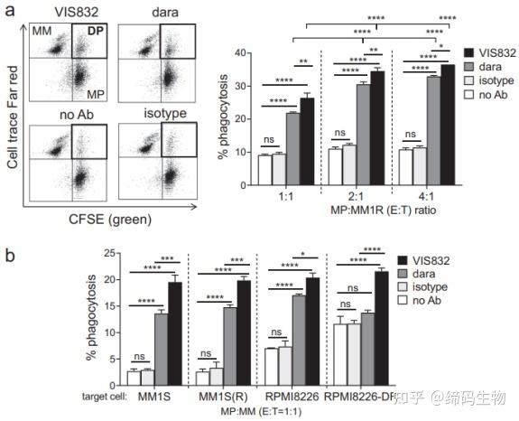 肿瘤免疫靶点 | CD138 - 知乎