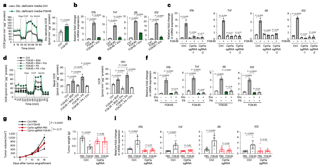 Nature Immunology丨CD40 信号重新连接脂肪酸和谷氨酰胺代谢以刺激巨噬细胞抗肿瘤发生功能 - 知乎