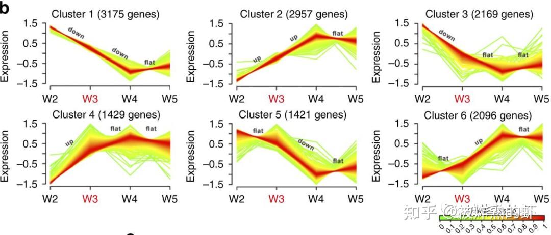 基因表达时序分析 Mfuzz - 知乎