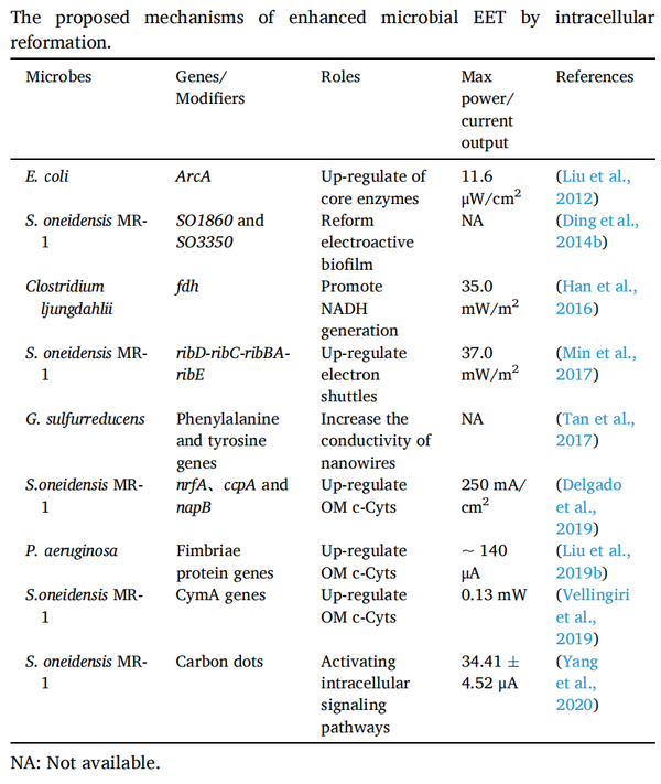 细菌/电极界面修饰增强微生物EET - 知乎