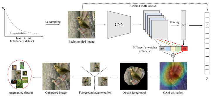 长尾分布论文（一）：Bag of Tricks for Long-Tailed Visual Recognition with Deep ...