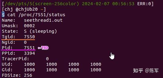 你可知道, 当 Linux 引入线程的概念后, PID(process ID)变成了一个歧义词 - 知乎