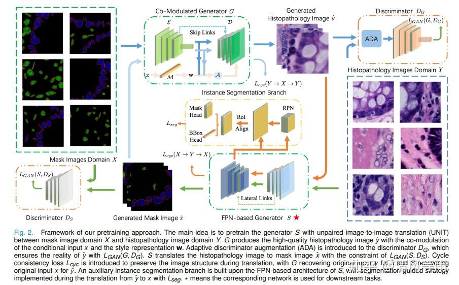 IEEE Transactions on Medical Imaging(TMI)论文推荐：2024年01月(2) - 知乎