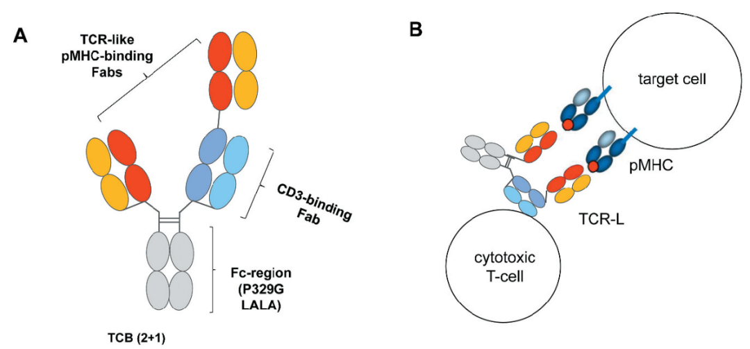 Roche又发明了一个CAR-J细胞技术 - 知乎