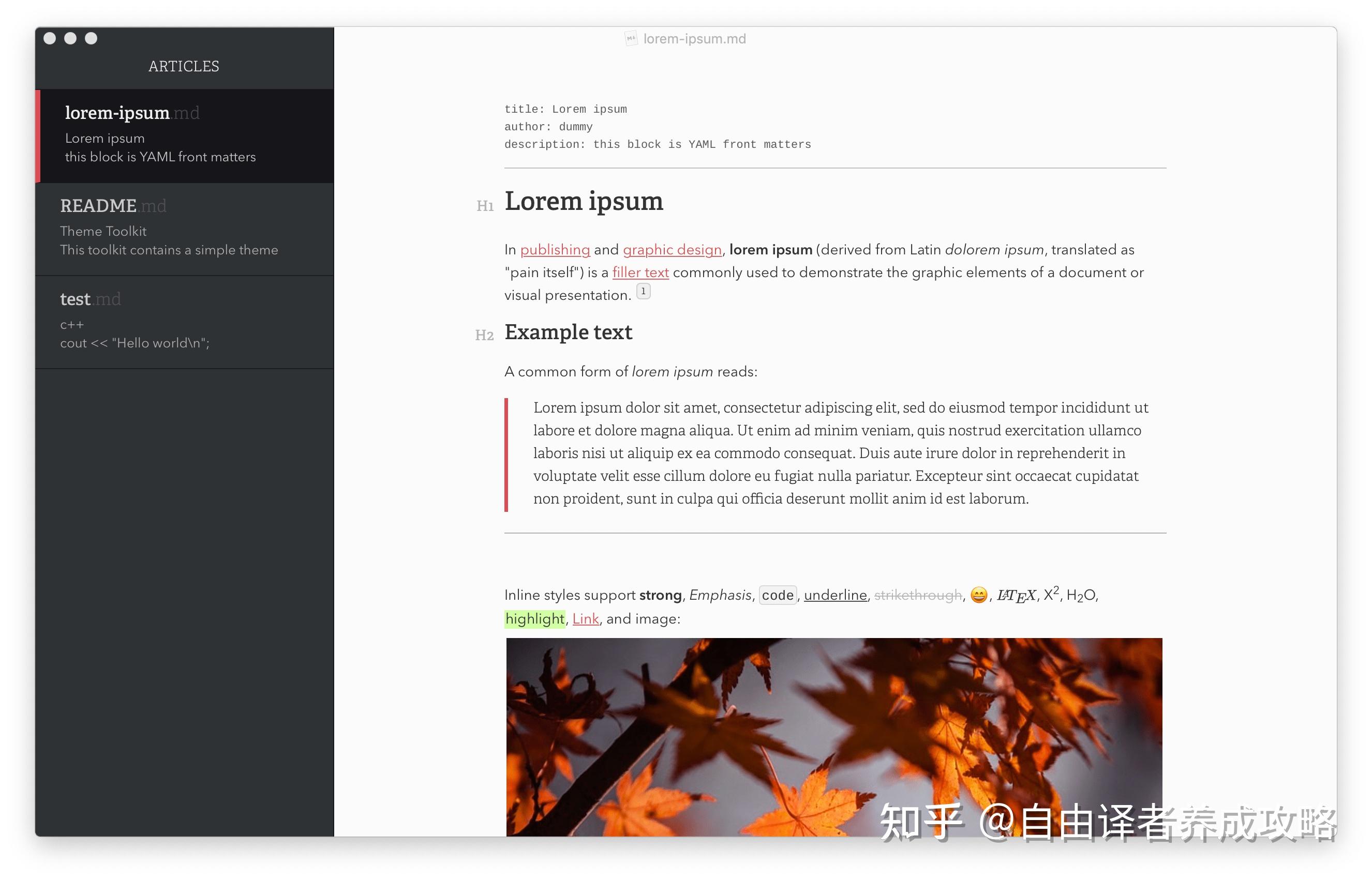 你见过的用markdown写出的最好看的文章是什么样子 知乎