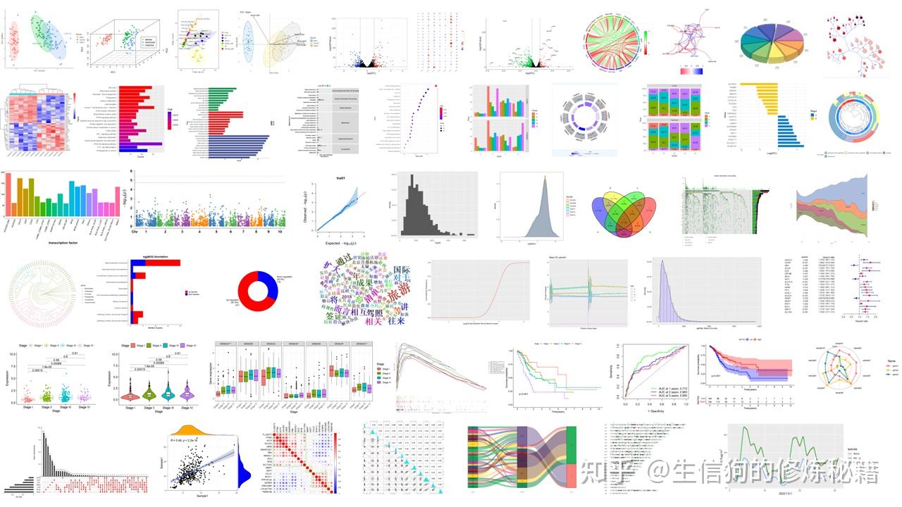 R代码画图大全 - 知乎