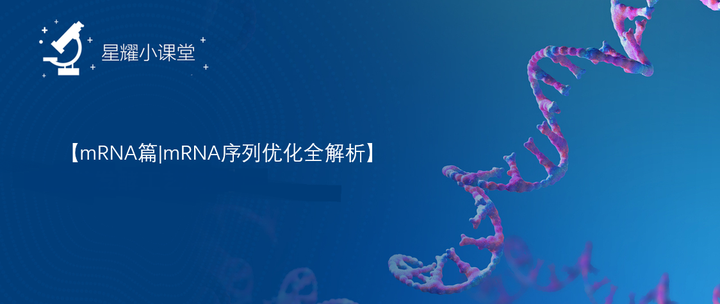 【星耀小课堂】mRNA篇|mRNA序列优化全解析 - 知乎