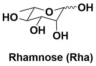 cas：10030-85-0|Rhamnose (Rha)|L-鼠李糖|6-脱氧-L-甘露糖|D-麴醇 - 知乎