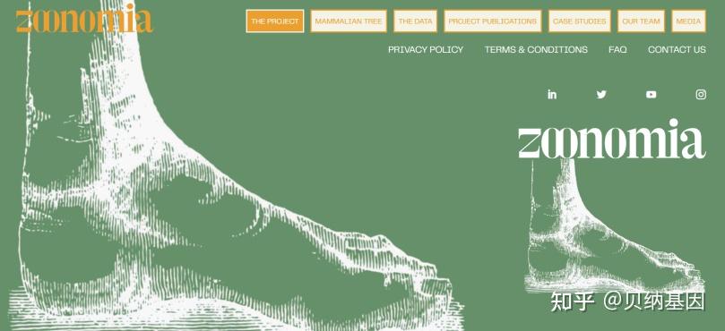 Science特刊推荐 | 大规模哺乳动物比较基因组研究，揭示人类健康和疾病的相关信息 - 知乎