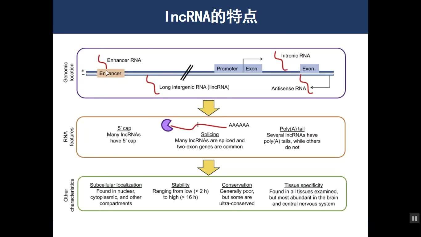 lncRNA的几点困惑? - 知乎
