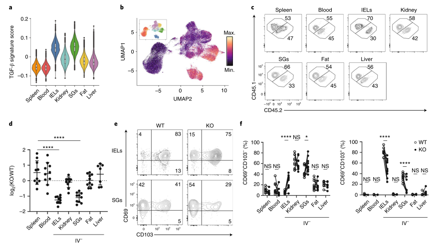 Nat Immu | CD8+ T细胞组织特异分化图谱 - 知乎