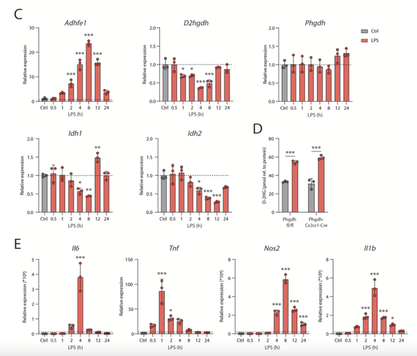 d-2-Hydroxyglutarate 是一种抗炎免疫代谢物，在 TLR4 激活后的巨噬细胞中积累 - 知乎