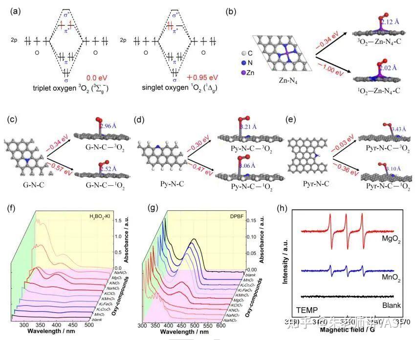 【DFT+实验】Angew.：1O2-N/C助力高效ORR - 知乎