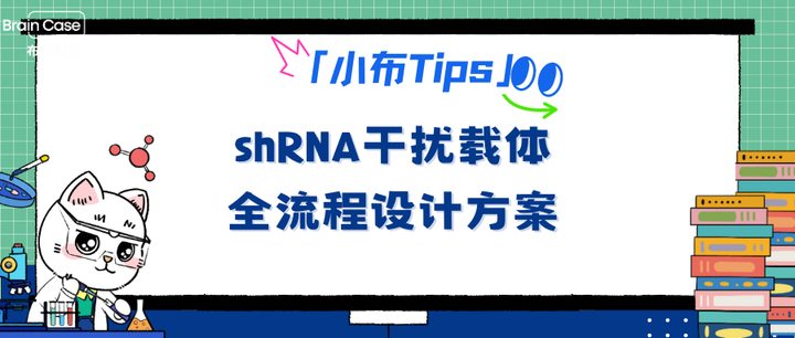 小布Tips | shRNA干扰载体全流程设计方案 - 知乎