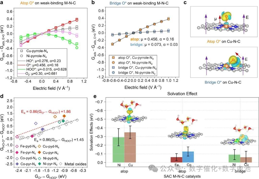 日本东北大李昊最新JACS | DigCat助力揭示弱吸附单原子M-N-C催化剂的全新ORR路径：金属-氮桥位氧吸附反应路径 - 知乎