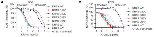 NATURE：KRAS靶向治疗新突破！新型泛KRAS突变抑制剂，可广泛靶向KRAS突变体 - 知乎