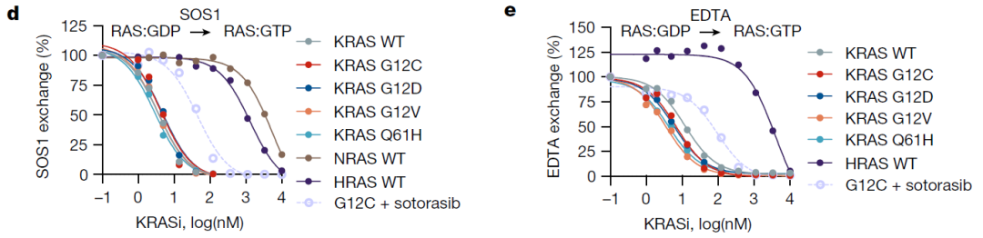 NATURE：KRAS靶向治疗新突破！新型泛KRAS突变抑制剂，可广泛靶向KRAS突变体 - 知乎