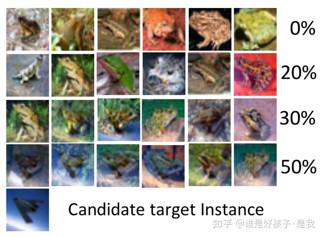 Poison Frogs! Targeted Clean-Label Poisoning Attacks on Neural Networks ...