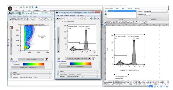 【干货】FlowJo 10.7.2数据处理基本操作|研小匠的实验记录 - 知乎