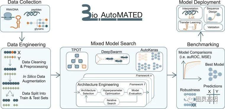 Cell Sys | 哈佛与MIT联合开发AI合成生物学平台 - 知乎