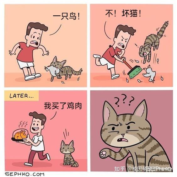 谁有网上比较火的meme man的图片啊，越多越好？ - 知乎