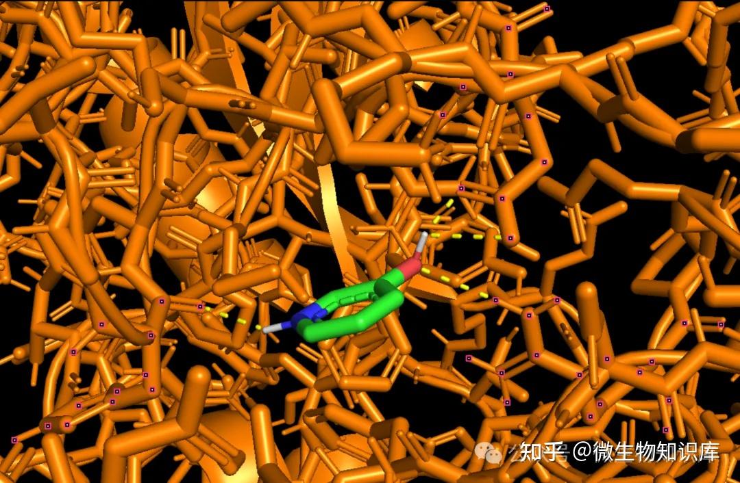 分子对接（六）：PyMol可视化分子对接结果详细教程 - 知乎