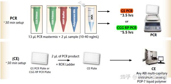 Asuragen ：AmplideX®PCR / CE FMR1 Kit脆性X染色体综合征检测金标准 - 知乎