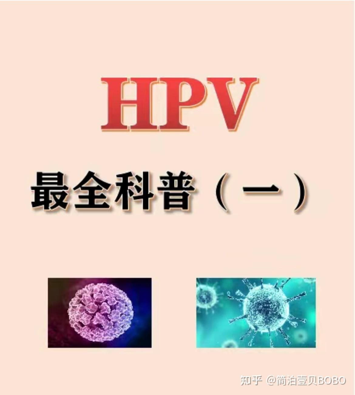 hpv 病毒是什么？ - 知乎