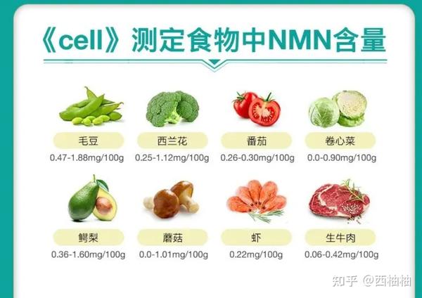 nmn什么里边含量多，什么食品nmn含量高，你要了解！ - 知乎