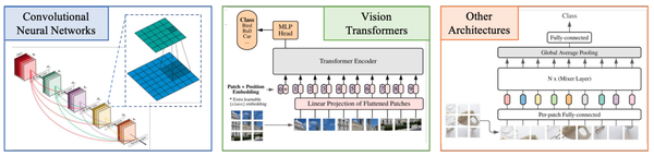 大模型路线图 | A Roadmap for Big Model