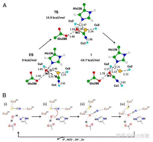 催化周报：Nat. Catal.、JACS、Angew、PNAS等大合集！！! - 知乎