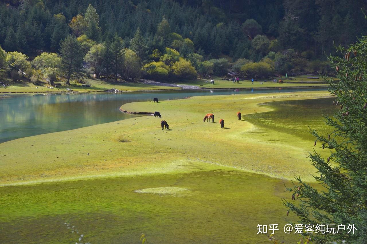 去新都桥必去的几个景点，哪些地方值得去？ - 知乎