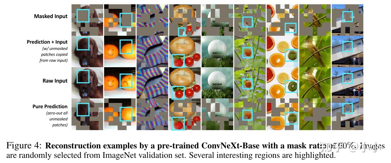 论文阅读 DESIGNING BERT FOR CONVOLUTIONAL NETWORKS: SPARSE AND HIERARCHICA MASKED MODELING - 知乎