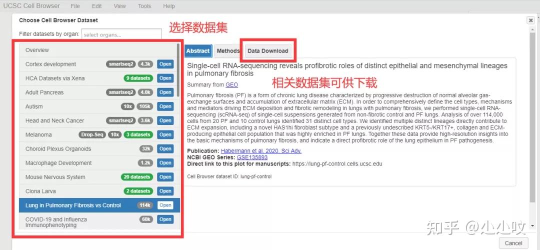 UCSC Cell Browser：可视化你的单细胞数据 - 知乎