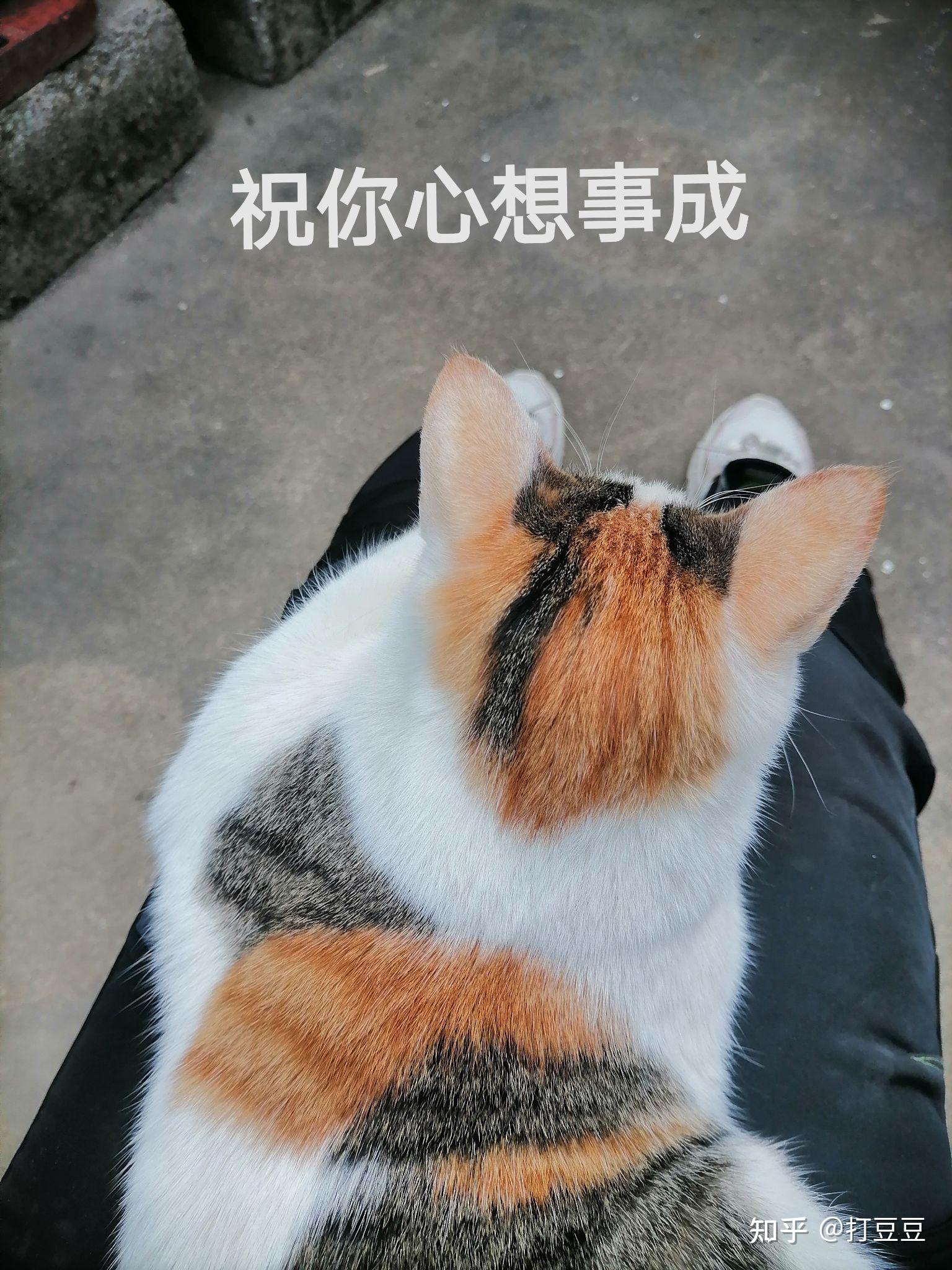 化妆品技术专业好吗?有利于成为500强化妆品研发工程师吗? 知乎