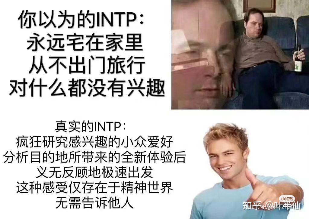 INTP梗图一览 - 知乎