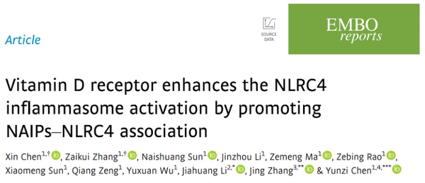 EMBO Rep︱陈允梓课题组揭示维生素D受体调控NLRC4炎症小体新机制 - 知乎